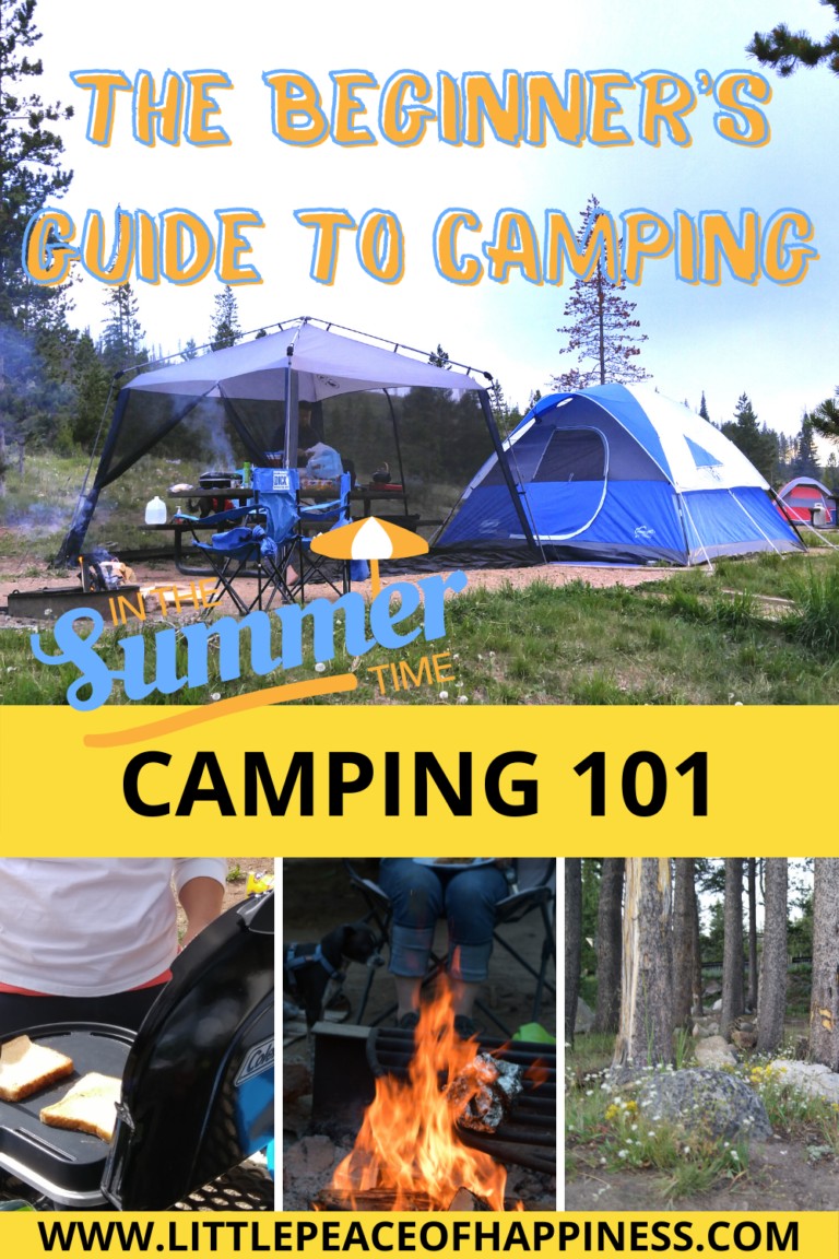 The Beginner’s Guide To Camping - Everything You Need To Know To Camp ...